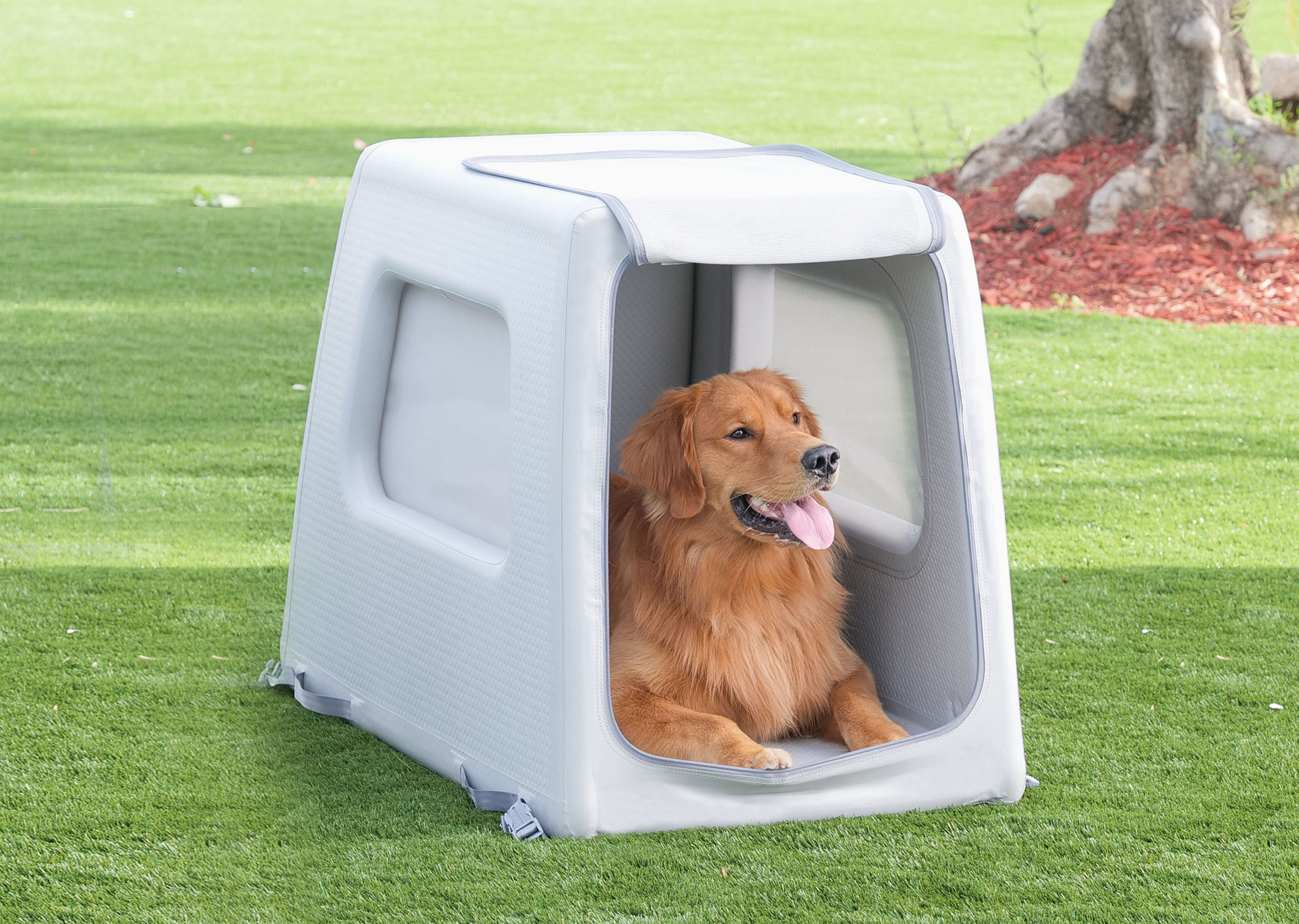 Enventur: The inflatable kennel for the traveling pup
